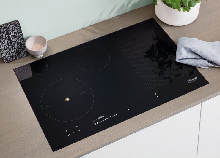 Comparison Of Induction Cookers With Different Defrosting Modes ...